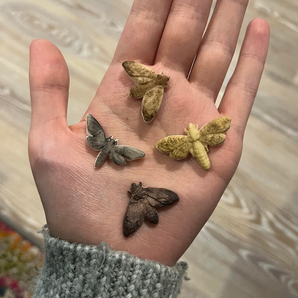 Nocturnal Insects Decor Mould, Finnabair From REDESIGN WITH PRIMA ...