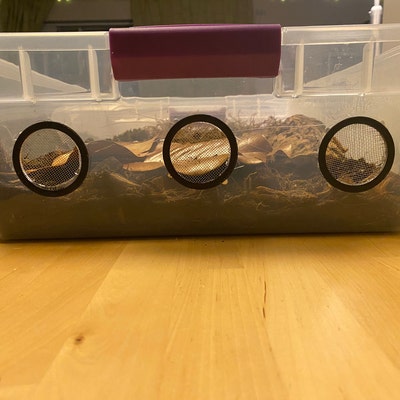 Vented Enclosure 16 Quart Reptile Isopod Terrarium Vivarium Container ...