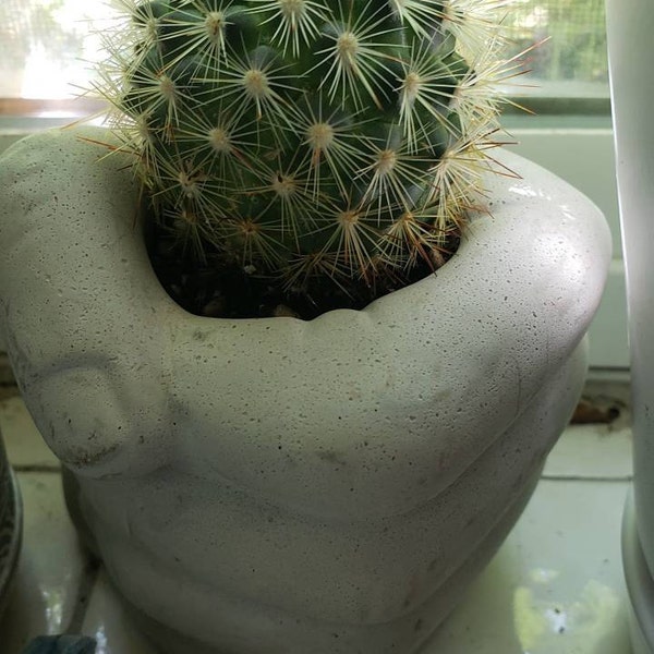 Oopsies Funny Planter | Fist Planter | Plant Pot | Hand Planter | Funny ...