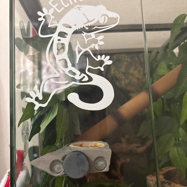 Crested Gecko Decal Customizable Enclosure Decor, Gecko Decal, Reptile ...