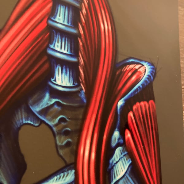 Psoas Anatomy Art Print Pelvic Pelvis Bone Hip Flexors Gift - Etsy