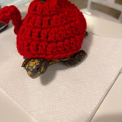 Tortoise Sweater Cherry Turtle Costume Pet Costume Tortoise - Etsy