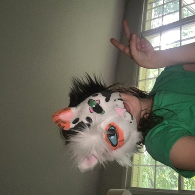 Deluxe Bluey Mask - Etsy