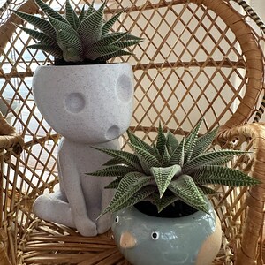 Hercules Wall Planter Pot Farnese Hercules Wall Face Planter - Etsy