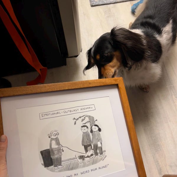 A Signed Print of Any Single Panel Cartoon I've Done - Etsy