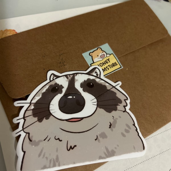 Raccoon Close up | Funny Sticker | Raccoon Sticker | Gifts Under 10 ...