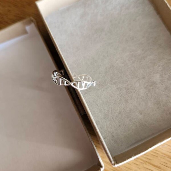 Fibonacci Golden Spiral Silver or Gold Earrings, Math Jewelry, Wearable ...