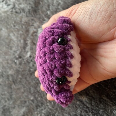 Steve the Flat Pocket Frog Crochet Pattern - Etsy