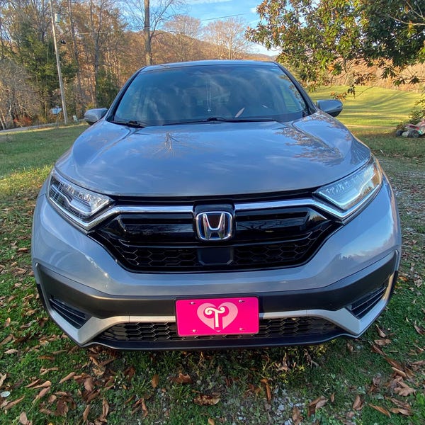 Kawaii Ghost License Plate Frame, Cute Halloween Gen Z Vehicle ...