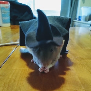 Party Tutu Costume for Pet Rats Many Colors Available Rat | Etsy