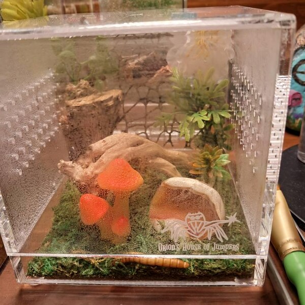 Clown Fish Nemo Themed Top Opening Hinged Jumping Spider Sling ...