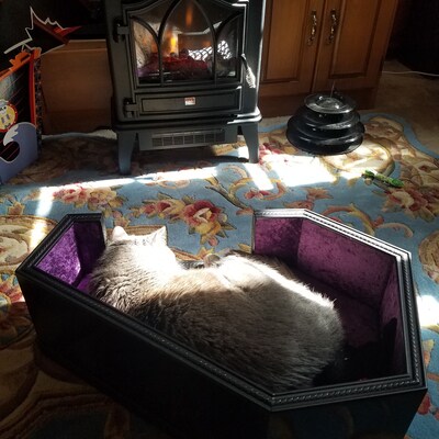 Coffin Coffee Table - Etsy