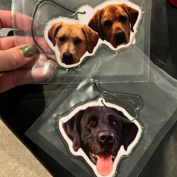 Put Your Pet on a Baseball Cap, Custom Embroidered Dog Portrait Cap ...