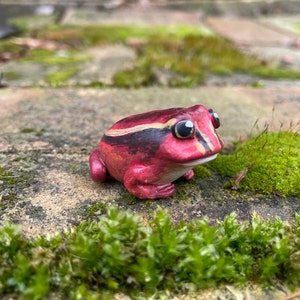 Handmade Polymer Clay Angry Screaming Desert Rain Frogs - Etsy