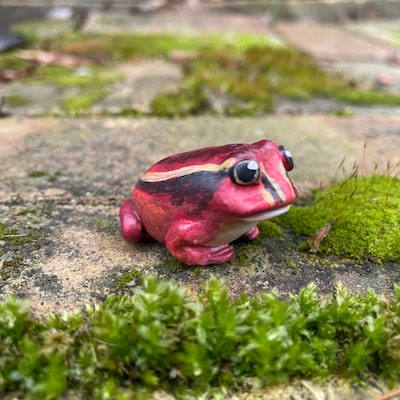 Handmade Polymer Clay Angry Screaming Desert Rain Frogs - Etsy