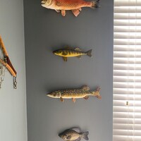 Halibut Fish Blank, 16-20 Inches 3D Wall Mounted Fish Blank, One Side ...