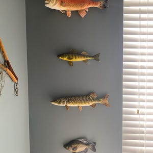 Golden Cod, Marblehead Cod, the Mascot of Marblehead, 5-10 Inch Inches ...