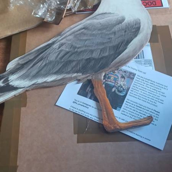 Giant 2D Candy Cane - Etsy