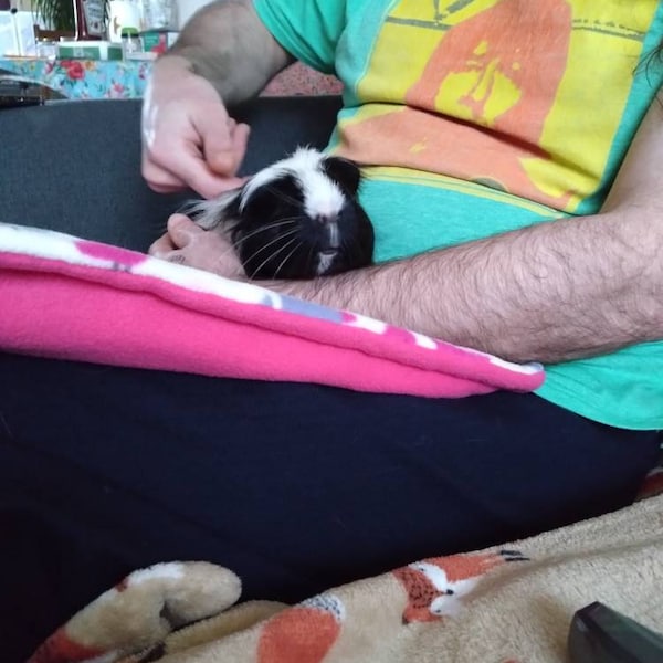 Waterproof Lap Pad/cage Pad for Guinea Pigs |CUSTOM ORDER - Etsy UK