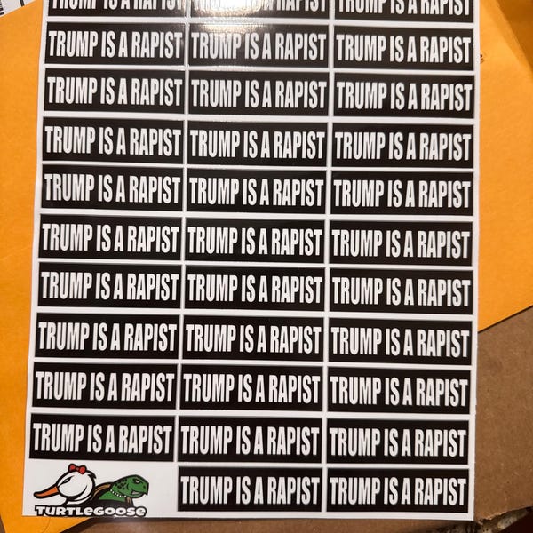 Abolish ICE Bumper Sticker, Vinyl Decal or Magnet - Etsy