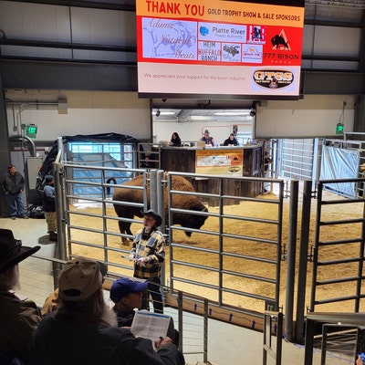 Flash-a-call Intercom Speaker Guitar Mini Amp - Etsy