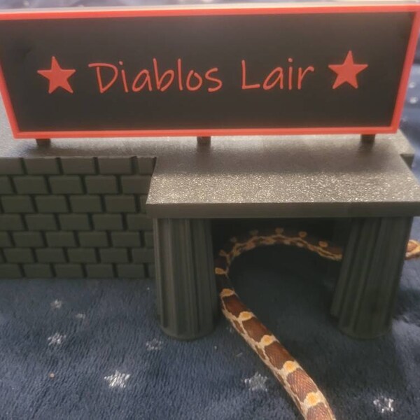 Custom Reptile Hide/snake Hide/ Gecko Hide/customizable - Etsy