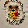 DIY Cute Hedgehog Hand Embroidery Kit, Animal Thread Painting Pattern ...