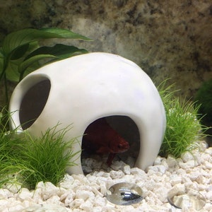 Small Fish Hide MADE TO ORDER Betta Fish Cave Small | Etsy Australia