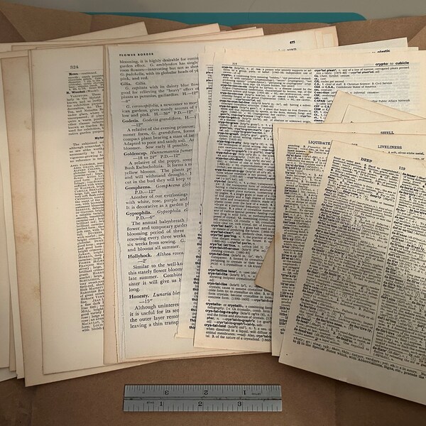 Authentic Victorian 1888 Certificate of Citizenship, USA New York State ...