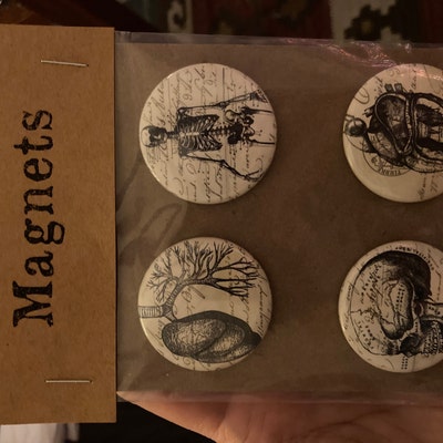 Human Anatomy Eye Optometry Magnets 1.5 Inch Round 6 Piece Magnet Set ...