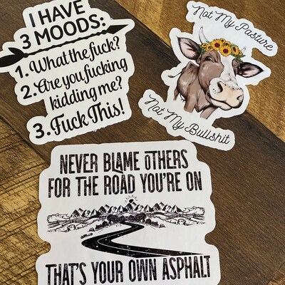 Funny Waterproof Weatherproof Vinyl Sticker Never Blame Others Asphalt ...