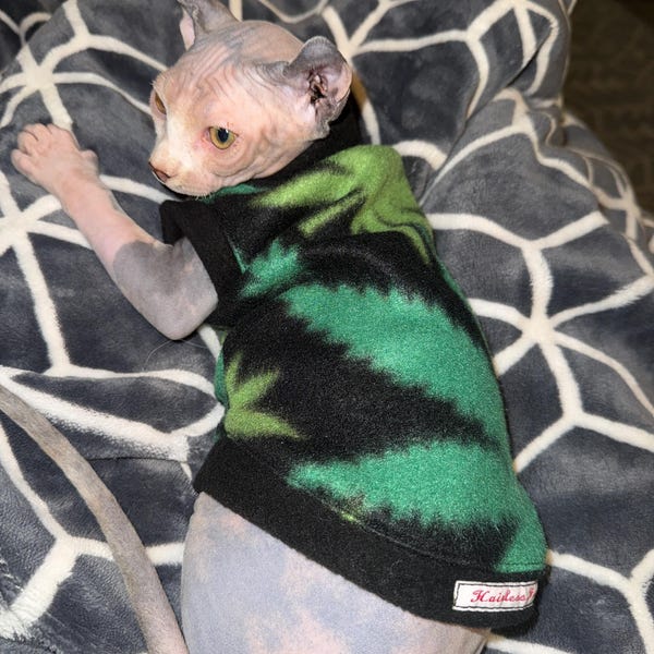 Snuggle Bed, Cat Sleep Sack, Sleeping Bag, Pet Sleeping Bag, Pet ...