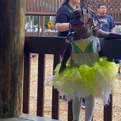 Princess and Frog Inspired, Princess Frog Tutu, Princess Frog Dress ...