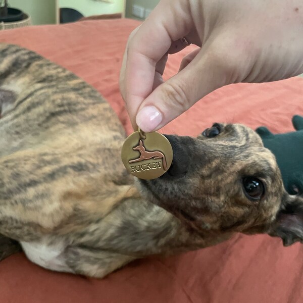 Personalized Dog Tag ID Anubis Egyptian God for Collar With Stamped ...