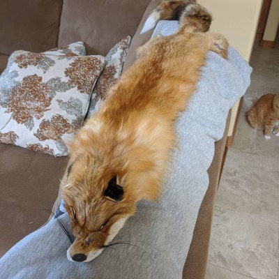 Professionally Tanned 1 Grade Red Fox Hide/pelt - Etsy