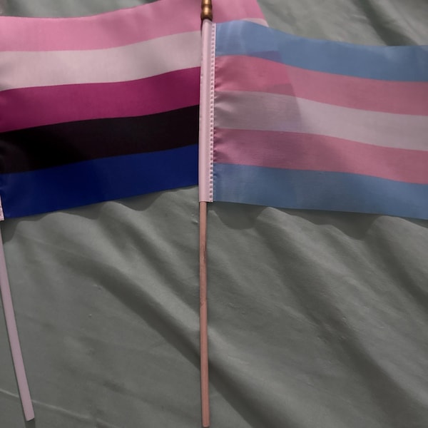 DIGITAL FILE: Printable Extended Pride Flag Reference Guide - Includes ...