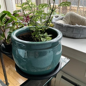 Modern Ceramic Planter With Rim High Gloss Pot Planter Indoor & Outdoor ...