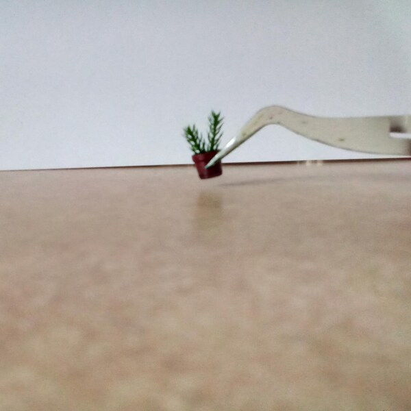 10/25 Natural Jumbo Cattails, Dry Pencil Cattail Bunch,dried Flower ...