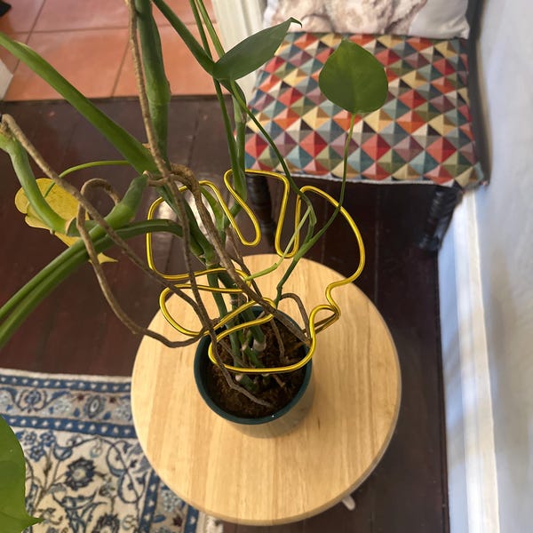 Monstera Shaped Plant Support - Gold Coloured - Etsy UK