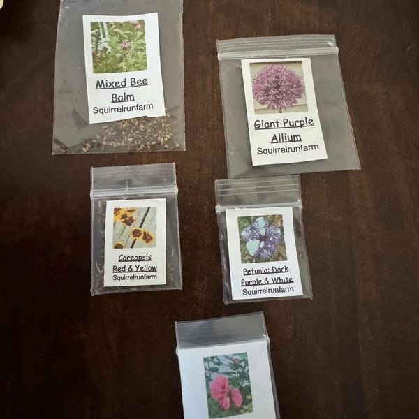 Rainbow Garden Mix Seeds Box (seed Packet) - Etsy
