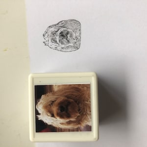 Custom Pet Stamp Self Inking-cat Dog Portrait Pre Inked - Etsy