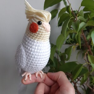 Crochet parrot DIY pattern Easy Tutorial PDF Amigurumi | Etsy