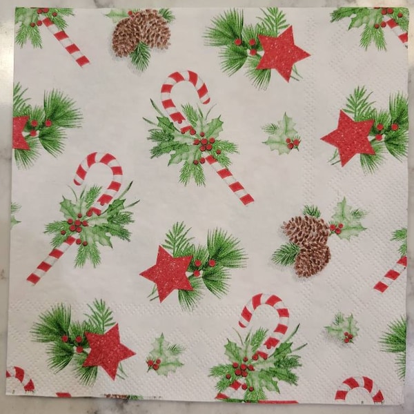 FREE SHIP Two Paper Luncheon Decoupage Art Craft Napkins design 504 ...