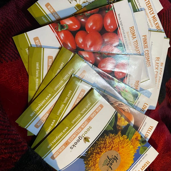 Yellow Sweet Spanish Onion Seeds - Heirloom, Organic, Non-gmo - Etsy
