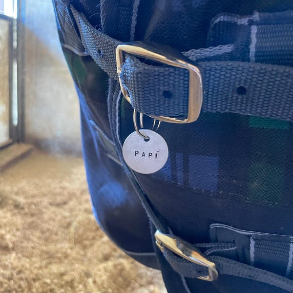 Custom Horse Halter Name Plate Brass Halter Name Tag Custom Equestrian ...