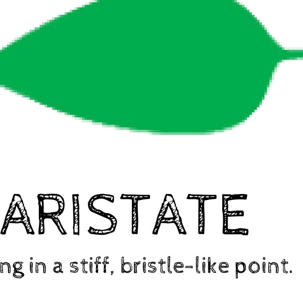 Constellation Cards | Set of 26 Printable Constellation Cards | Harvest ...