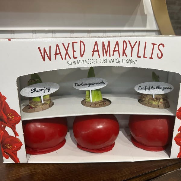 Custom Printed Suncatcher Lithophane - Heart and Circle Window Decor ...