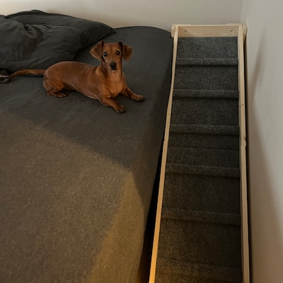 Unfinished Pet Ramp With Slats for Traction Wood Dog Ramp Pet Furniture ...