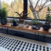 8" Deep Hand Carved Live Egde Bench With Metal Legs | Free Delivery ...