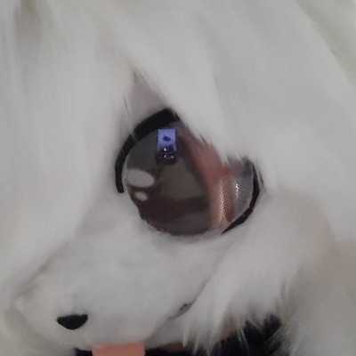 Custom Fursuit Eye Mesh - Etsy